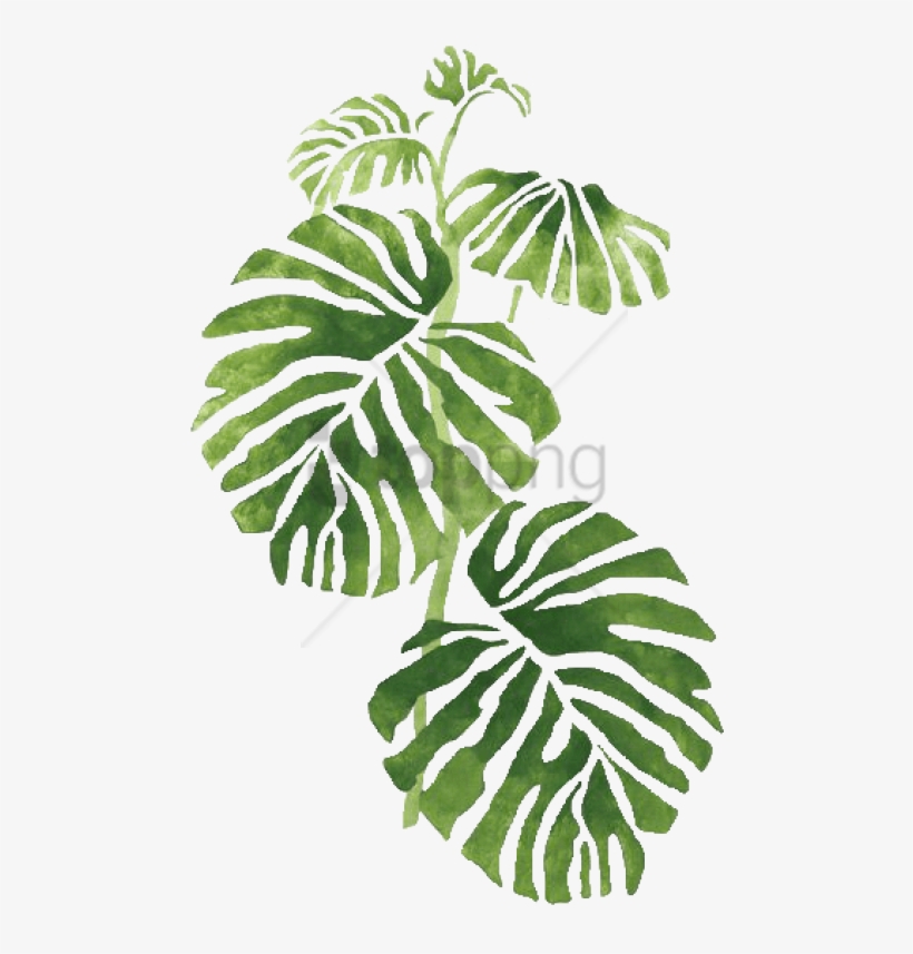 Free Png Transparent Tropical Png Image With Transparent - Tropical ...