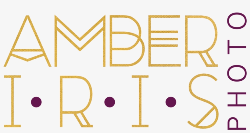 Amber Iris Photo Logo-01 PNG Image | Transparent PNG Free Download on SeekPNG