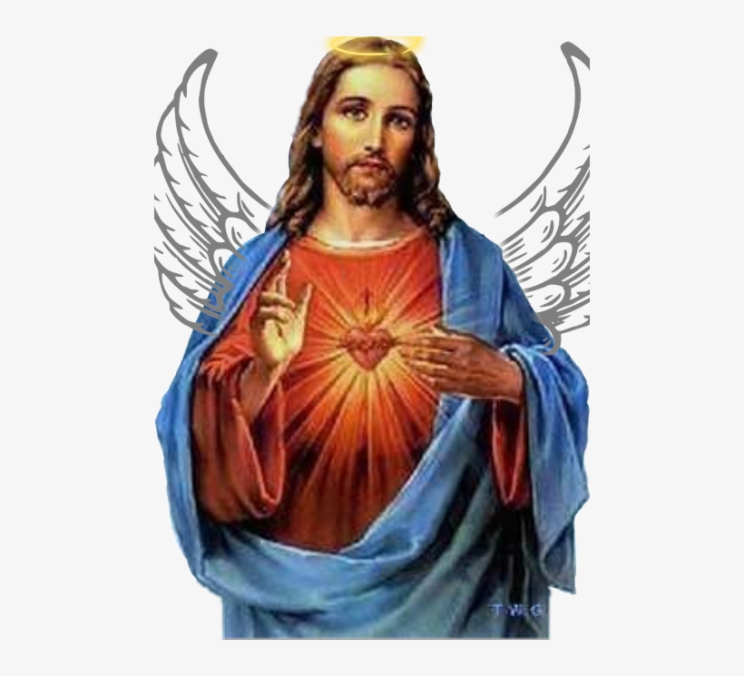 Praise The Holy Peanut PNG Image | Transparent PNG Free Download on SeekPNG