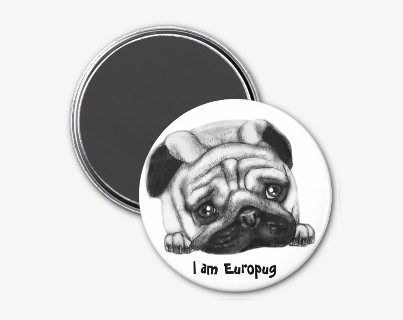Pug Face Png - Dog PNG Image | Transparent PNG Free Download on SeekPNG