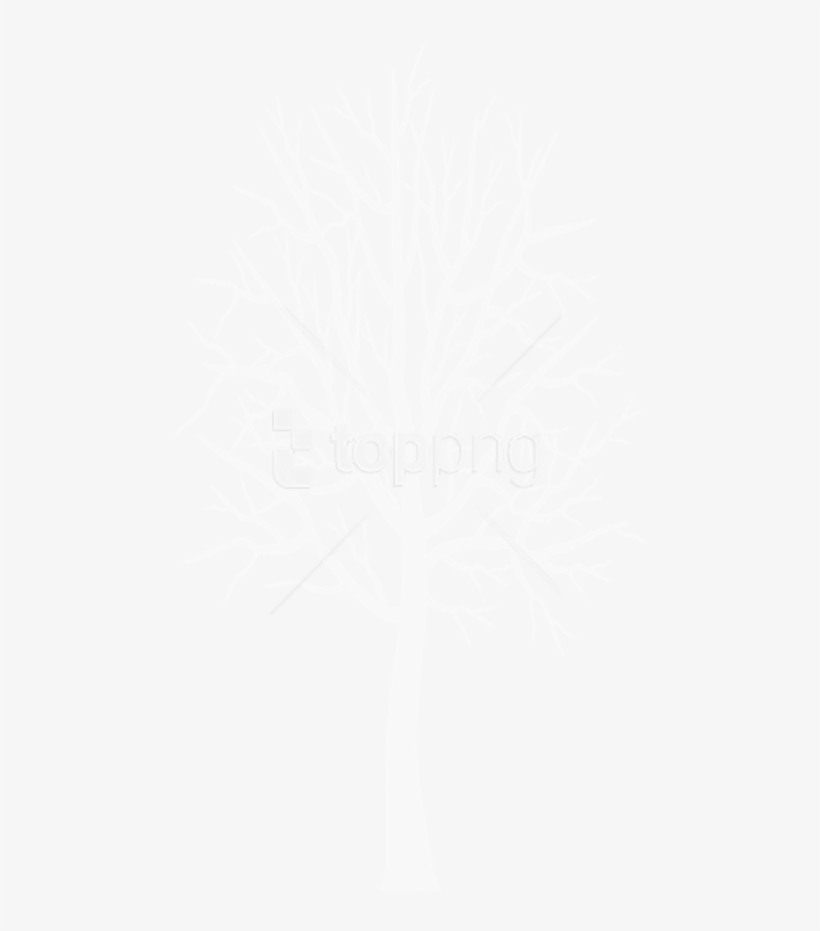 Free Png White Winter Tree Png PNG Image | Transparent PNG Free ...