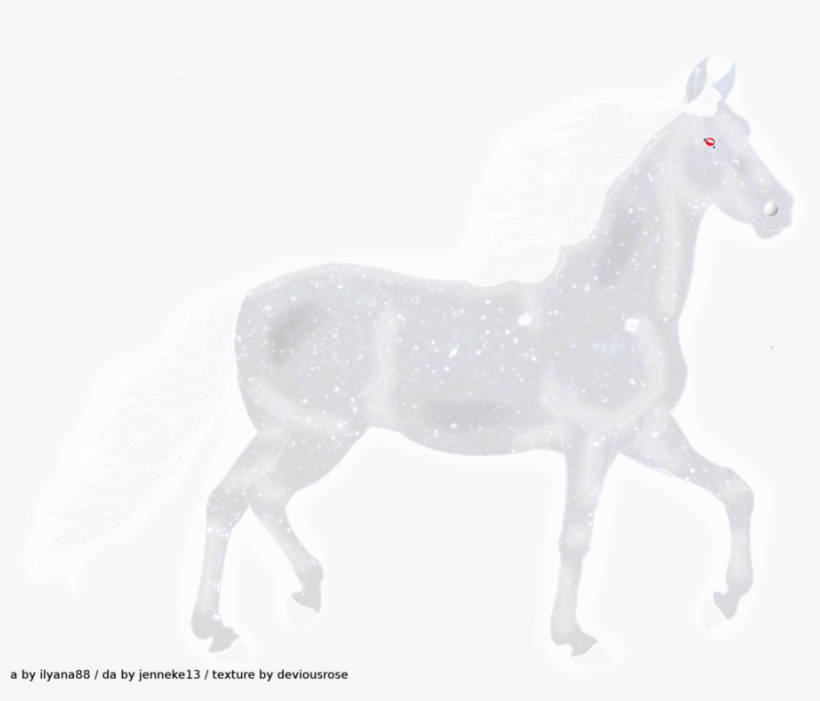 900 X 726 6 - Foal PNG Image | Transparent PNG Free Download on SeekPNG