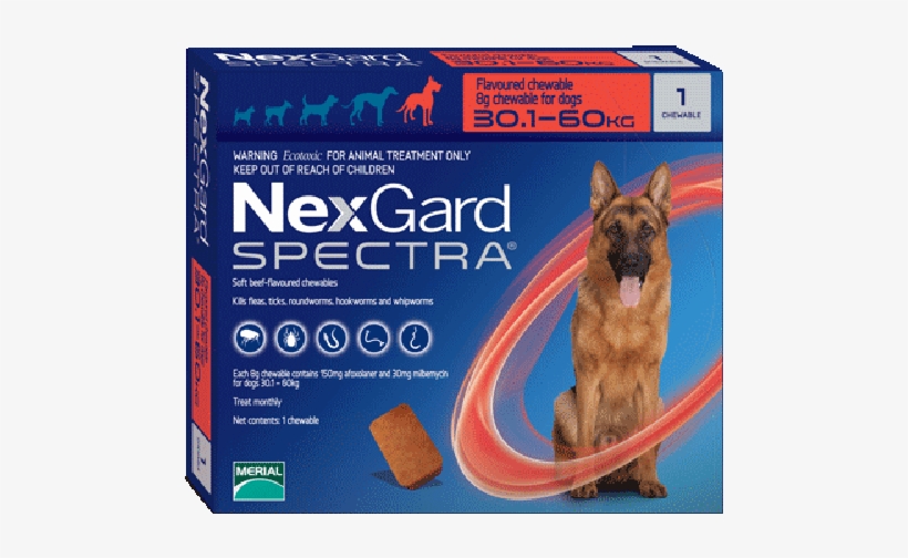 Nexgard Spectra Flea Tick & Worm Chewable Treatment - Nexgard Spectra ...