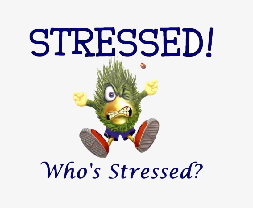 Download Good Stress Or Bad Stress - Cartoon | Transparent PNG Download ...