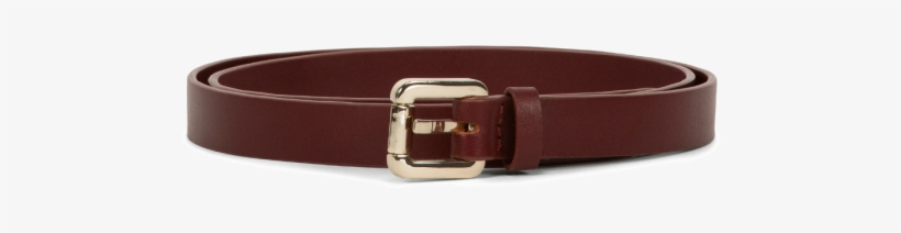 Download Buckle | Transparent PNG Download | SeekPNG