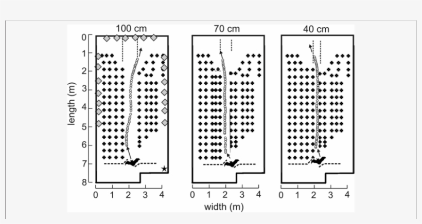 Experimental Flight Room Diagrams And Example Flights - Diagram PNG ...