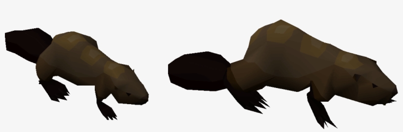 Forums - Old School Runescape PNG Image | Transparent PNG Free Download ...