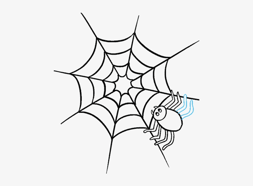 Picture Freeuse Stock Cocoon Drawing Web - Easy Spider Webs Drawing PNG ...