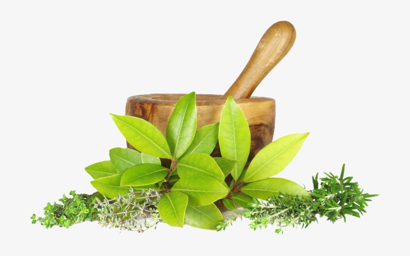 Motar - Ayurvedic Sign PNG Image | Transparent PNG Free Download on SeekPNG