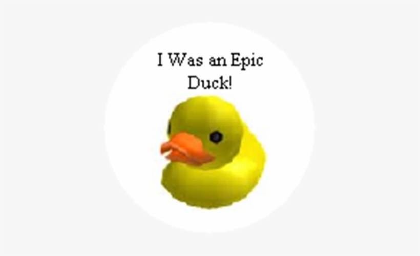 Download The Epic Duck - Teh Epic Duck Roblox | Transparent PNG ...