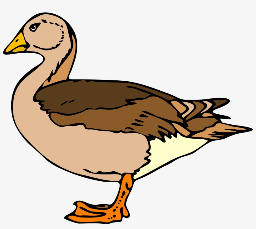 Duck Clipart Side View - Brown Duck Clipart PNG Image | Transparent PNG ...