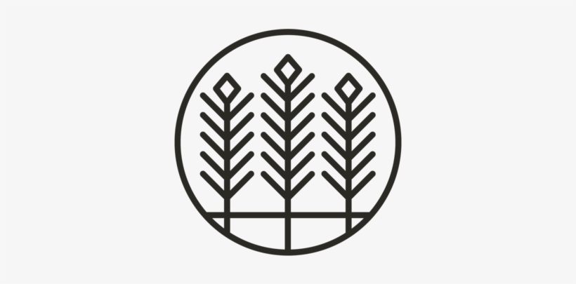 Icons 2000px Withpadding Vodka - Vodka PNG Image | Transparent PNG Free ...