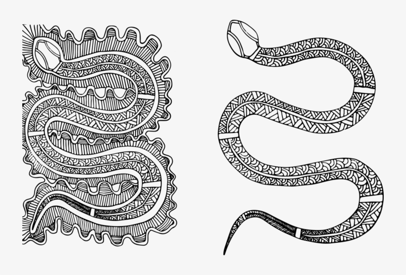 Bge2 Serpent With Pattern - Illustration PNG Image | Transparent PNG ...