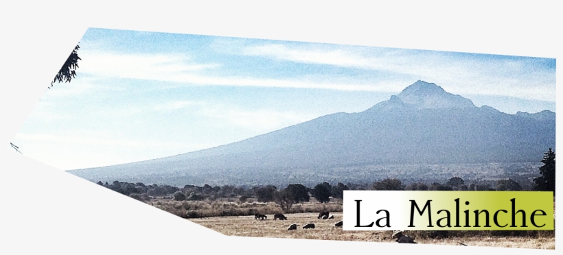 Arrl - Grazing PNG Image | Transparent PNG Free Download on SeekPNG