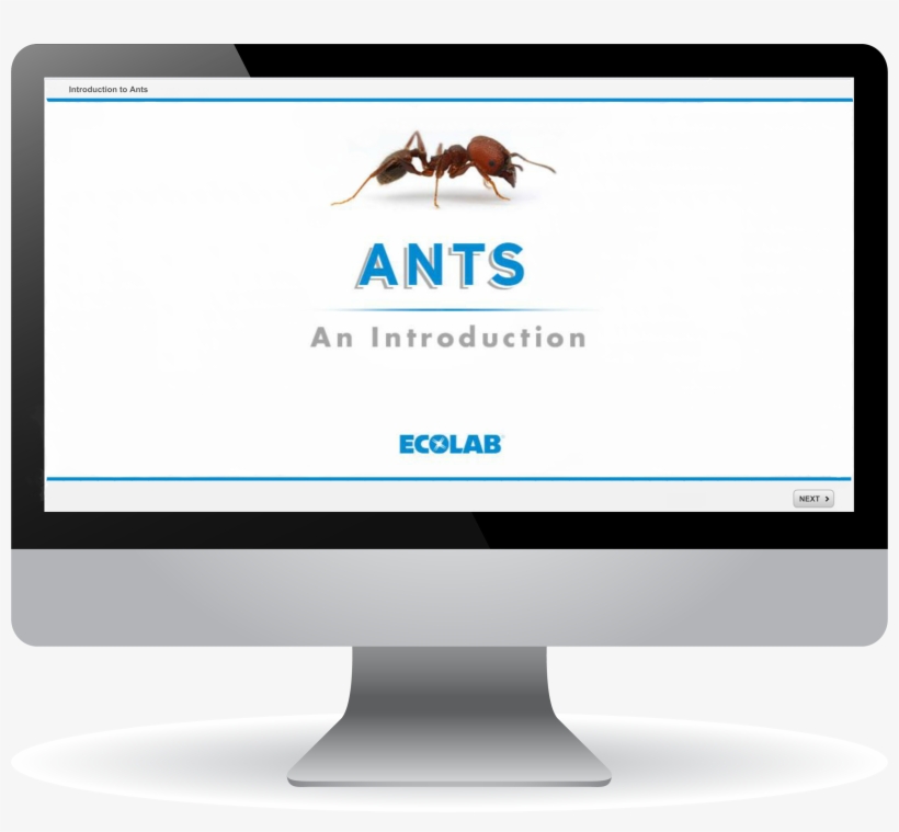 Ants Full Width - Ecolab PNG Image | Transparent PNG Free Download on ...