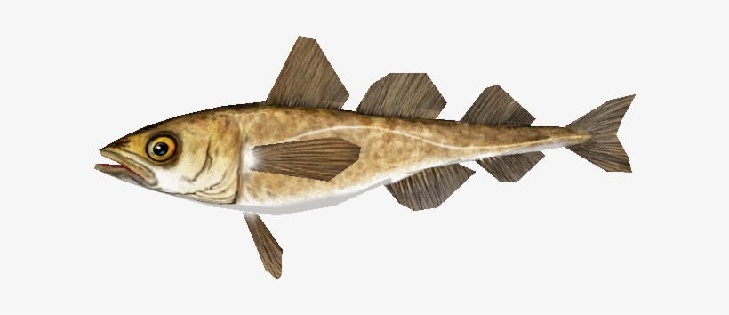 Download Zip Archive - European Pollock PNG Image | Transparent PNG ...
