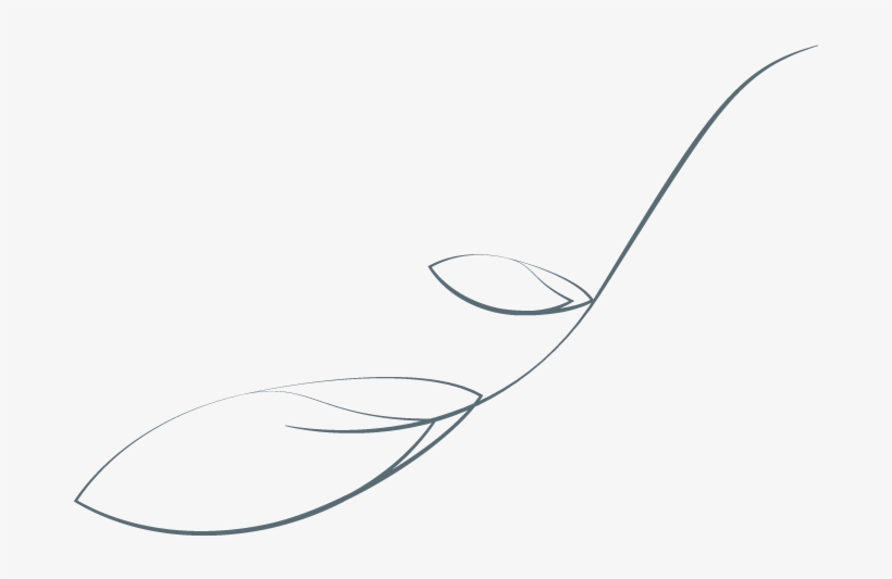 Line Art PNG Image | Transparent PNG Free Download on SeekPNG