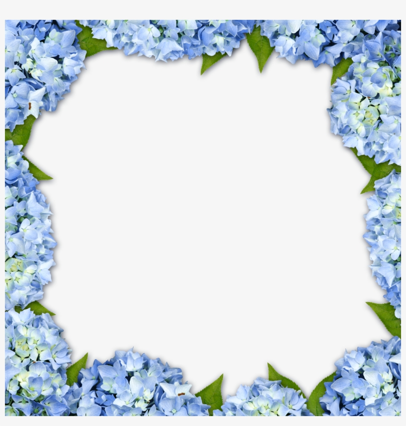 Blue Border Frame Png PNG Image | Transparent PNG Free Download on SeekPNG