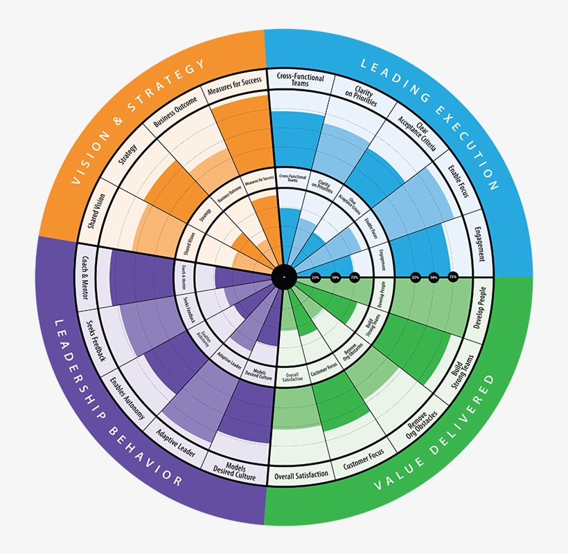 Agile Leadership Radar Web - Circle PNG Image | Transparent PNG Free ...