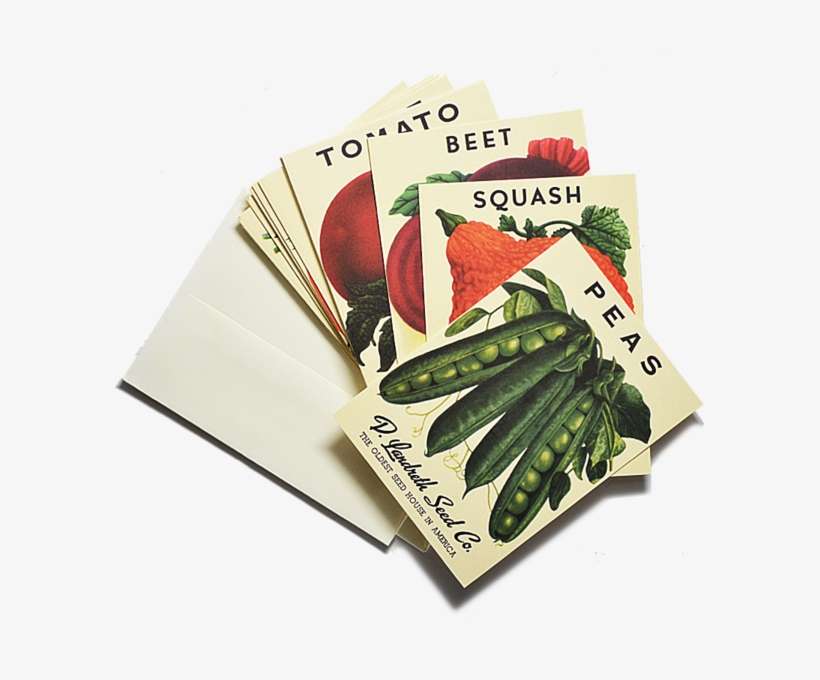 Download Vegetable Seed Seed Packet Png | Transparent PNG Download ...