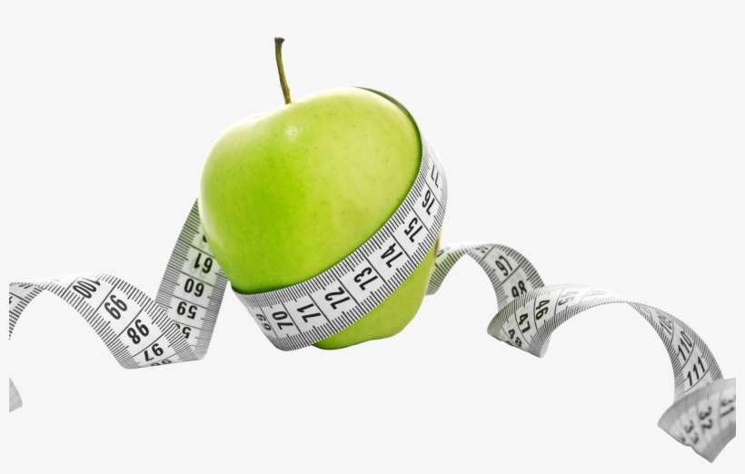 Download Transparent Png PNG Image | Transparent PNG Free Download on ...