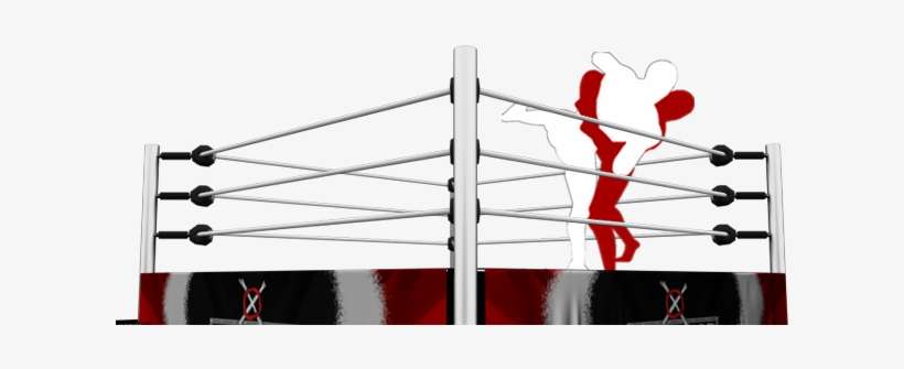 Professional Boxing PNG Image | Transparent PNG Free Download on SeekPNG