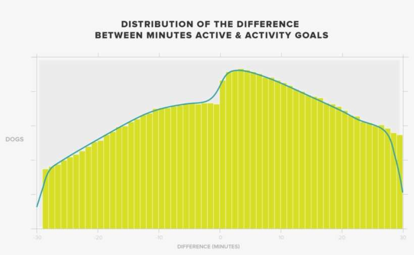 Pip Graph-06 - Diagram PNG Image | Transparent PNG Free Download on SeekPNG