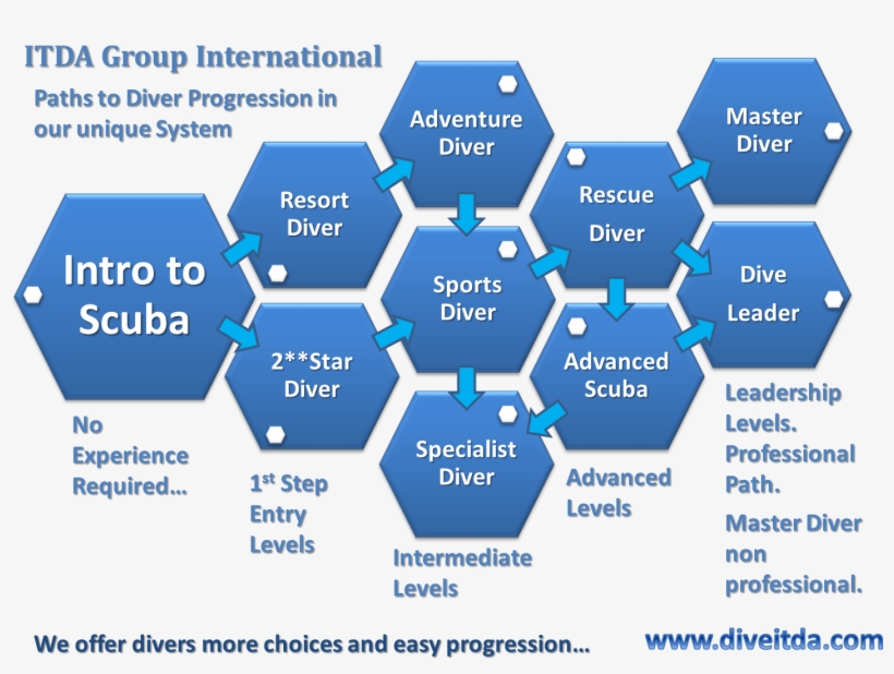 Itda Group Progession Chart 2013 Png - Business Support Team PNG Image ...
