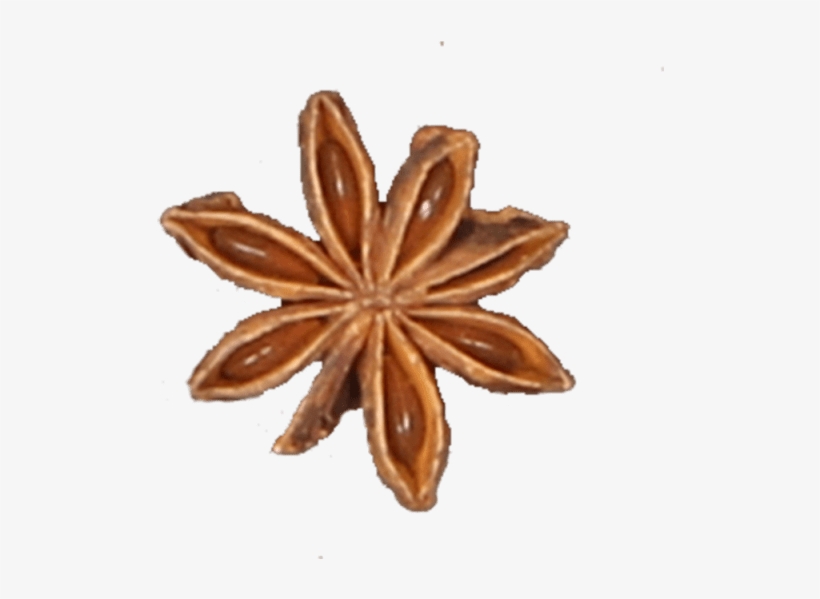 Star Anise - Illustration PNG Image | Transparent PNG Free Download on ...