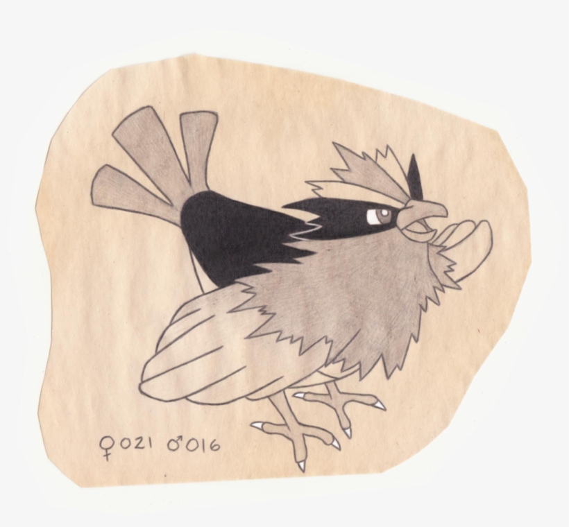 Tiny Bird Pokemon - Illustration PNG Image | Transparent PNG Free ...