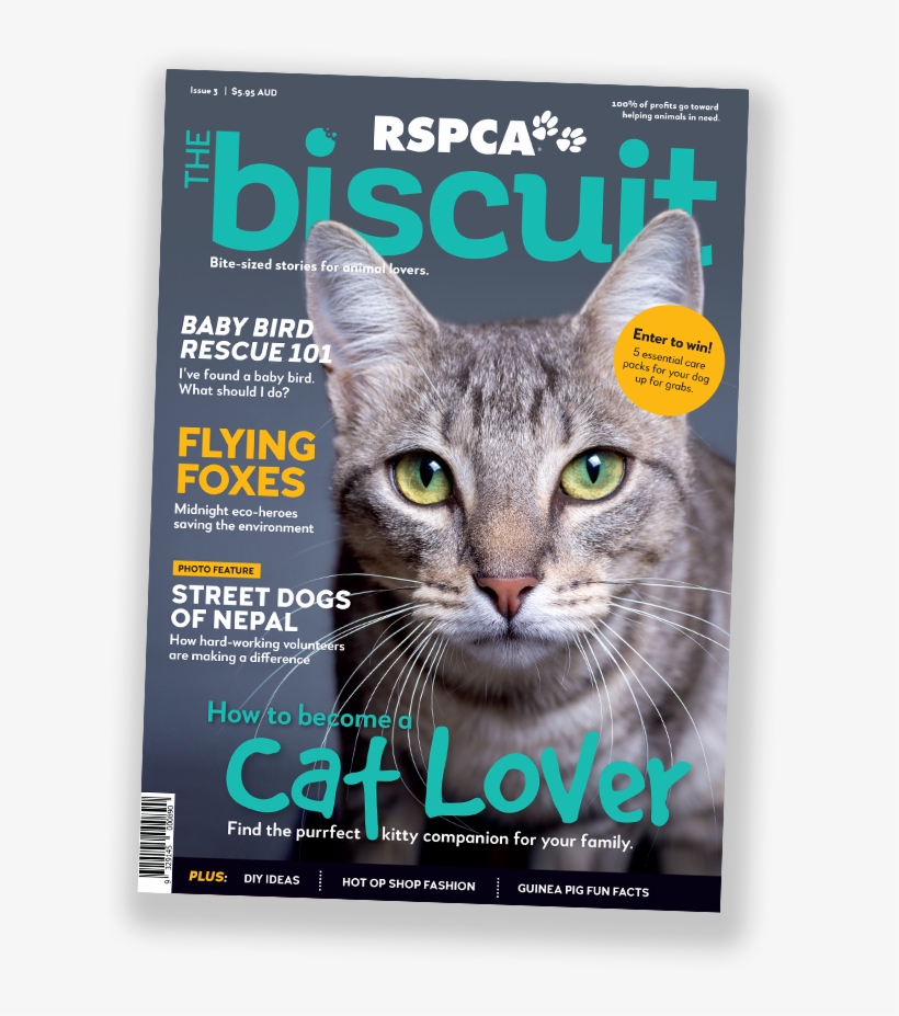Issue 3 - Rspca PNG Image | Transparent PNG Free Download on SeekPNG