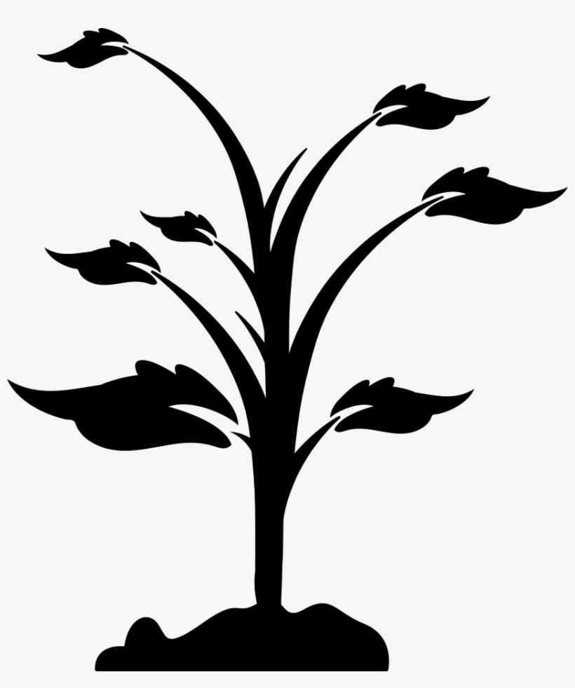 Png File Svg - Plant Svg PNG Image | Transparent PNG Free Download on ...