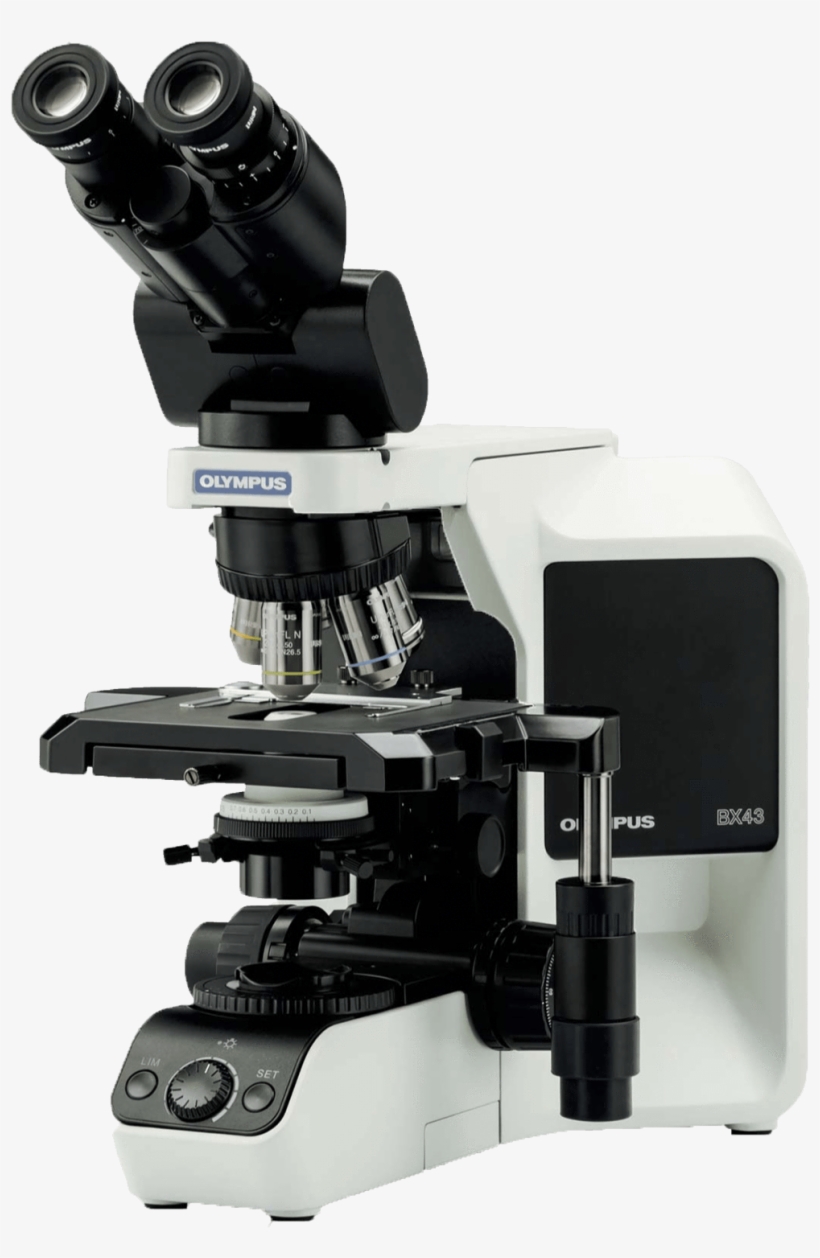Olympus Bx43f Microscope Package For Semen Evaluation - Olympus Bx43 PNG Image | Transparent PNG ...