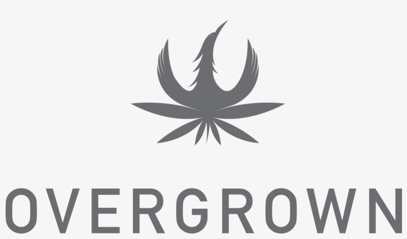 Overgrown Cannabis - Graphic Design PNG Image | Transparent PNG Free ...