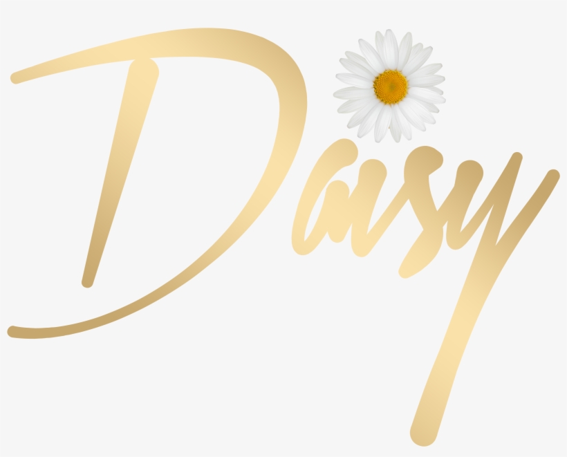 The Unfiltered Opinions Of A Influencer - African Daisy PNG Image ...