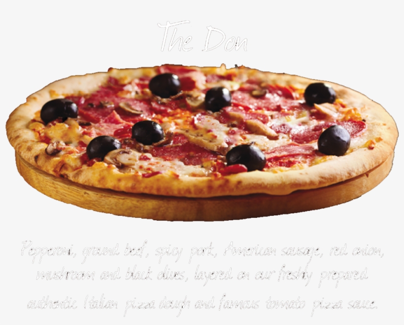 Don PNG Image | Transparent PNG Free Download on SeekPNG