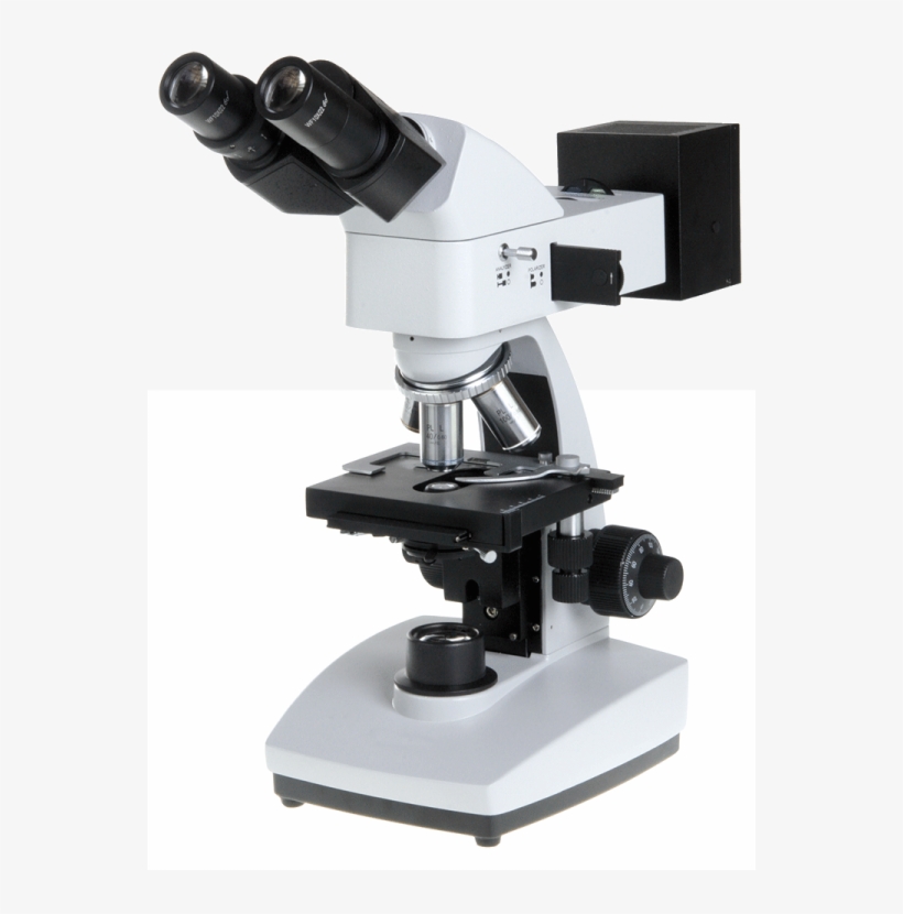 Microscope Clipart Translucent - Trinocular Microscope Low Cost PNG ...