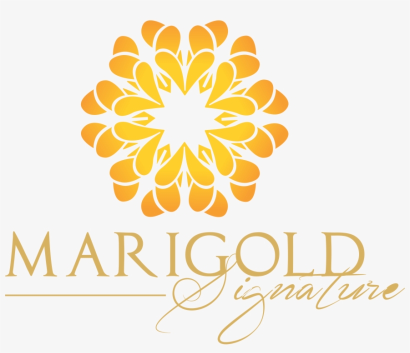 Download Marigold Signature - Marigold Logo | Transparent PNG Download ...