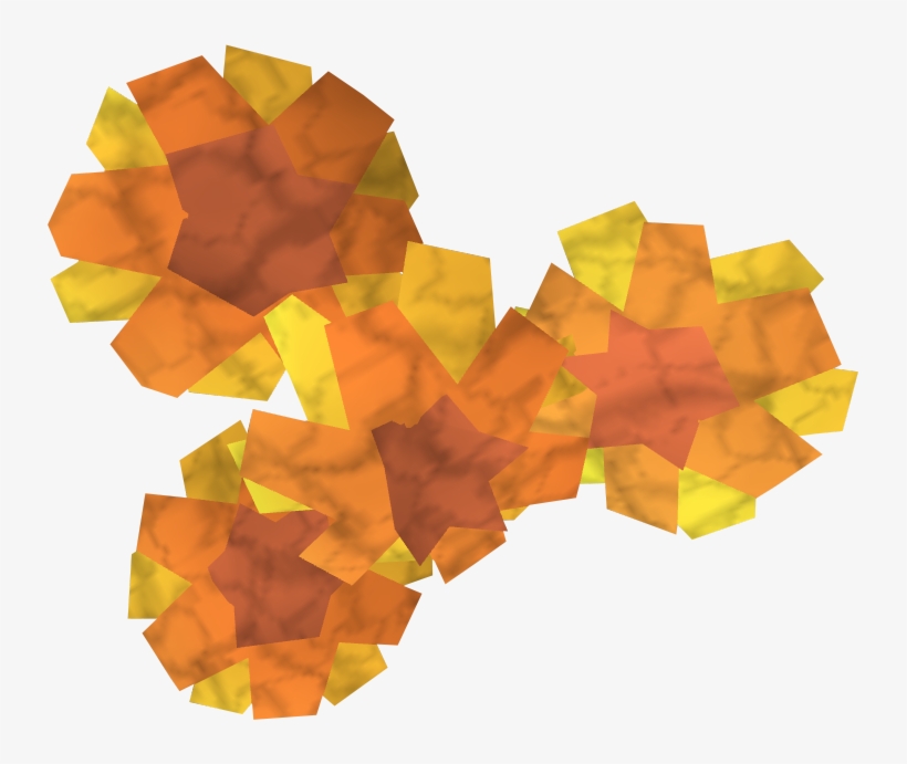 Detailed - Marigold Runescape PNG Image | Transparent PNG Free Download ...