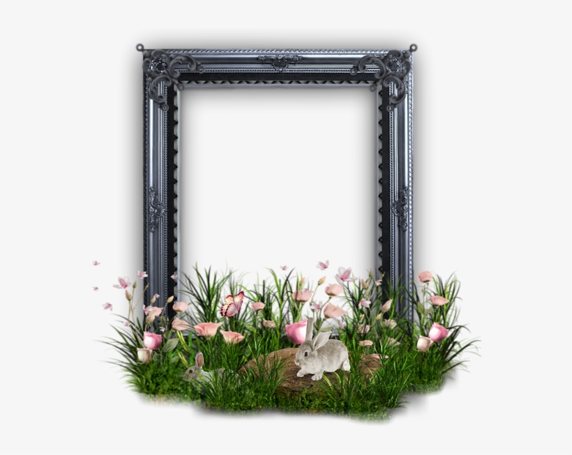 Download Png, Frame, Rabbit Picture, Design - Ceratostylis ...
