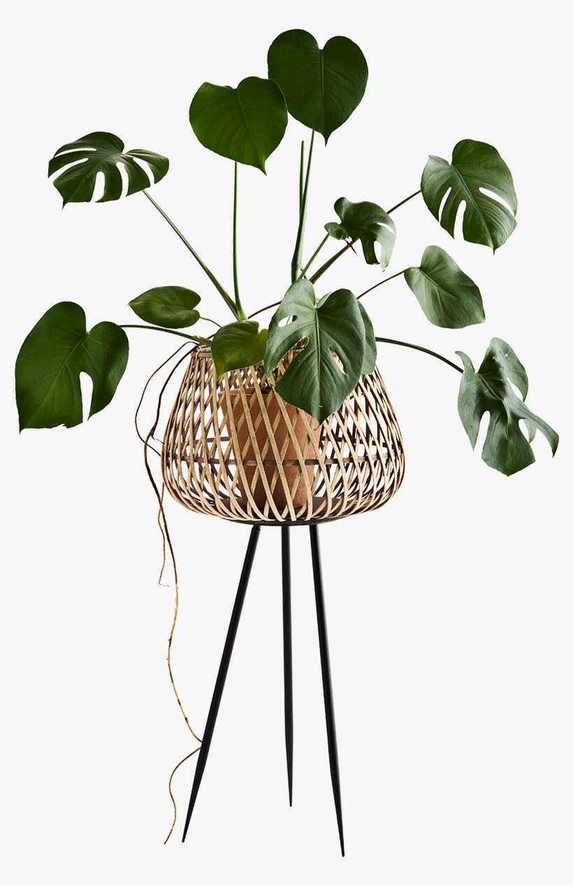 Bamboo Flower Stand - Bamboo PNG Image | Transparent PNG Free Download ...