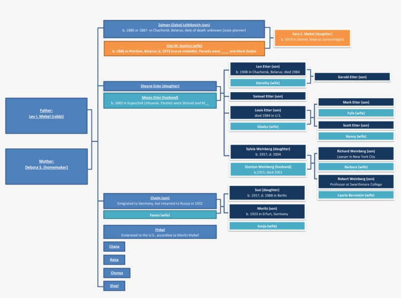 Download Family Trees - Graphics | Transparent PNG Download | SeekPNG