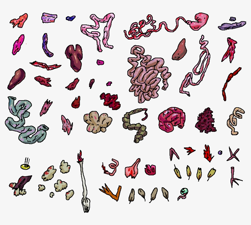 Gutsandthings PNG Image | Transparent PNG Free Download on SeekPNG