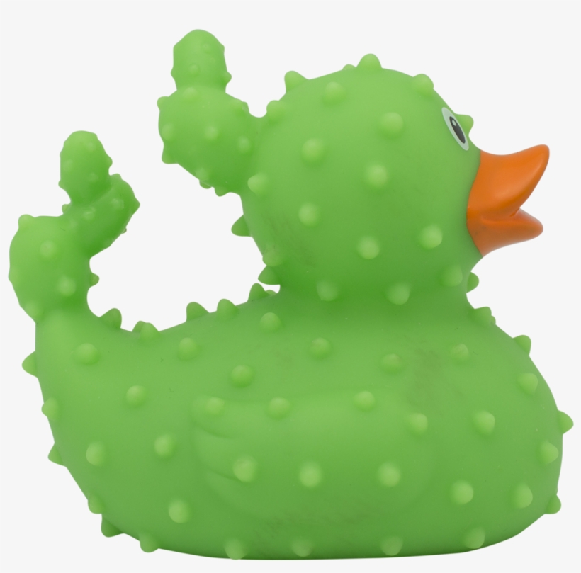 Cactus Rubber Duck By Lilalu PNG Image | Transparent PNG Free Download ...