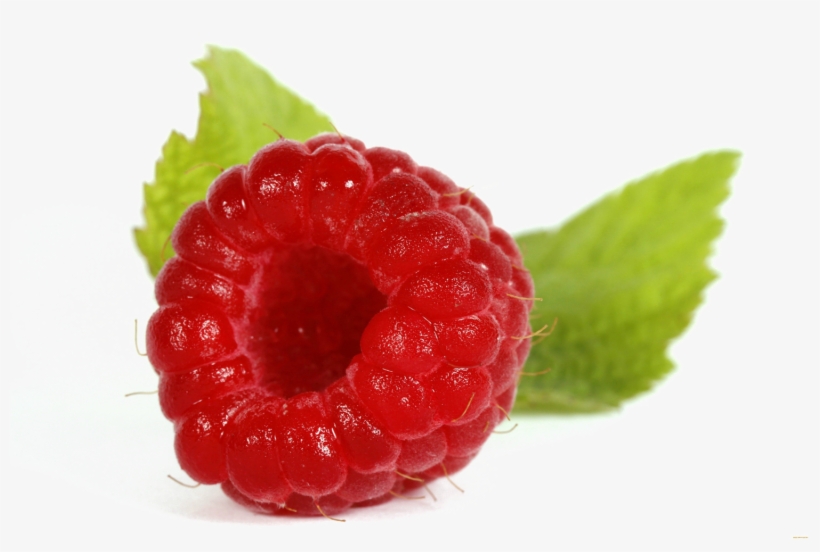 Single Raspberry Png Image Background - Transparent A Single Raspberry ...