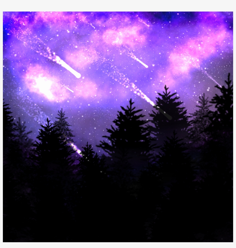 Shortleaf Black Spruce PNG Image | Transparent PNG Free Download on SeekPNG