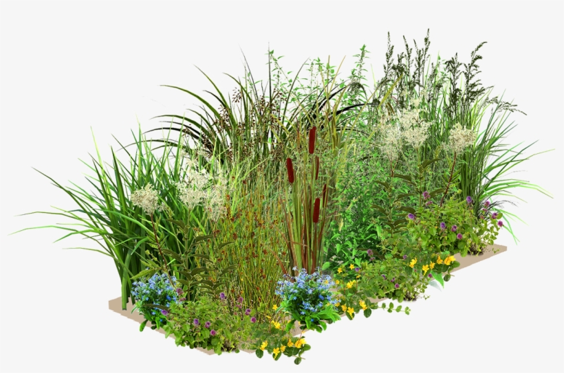 Increased Waterfront Value - Sweet Grass PNG Image | Transparent PNG ...