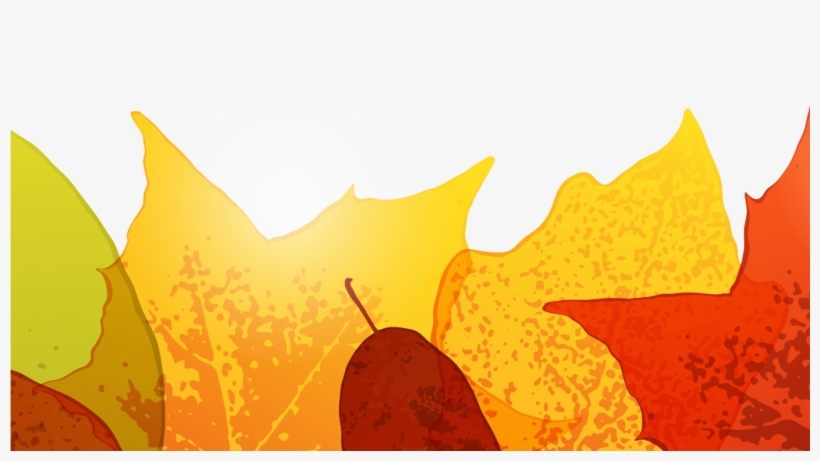 15 Fall Border Png For Free Download On Mbtskoudsalg - Illustration PNG ...