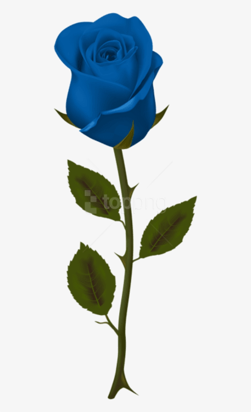 Download Free Png Download Blue Rose Png Images Background Png - Dark ...