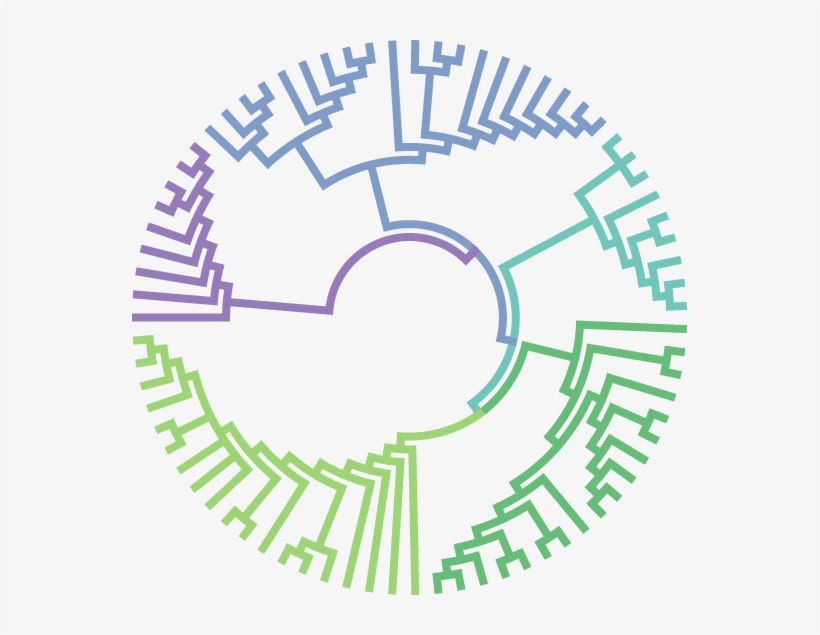 Molecular Evolution PNG Image | Transparent PNG Free Download on SeekPNG